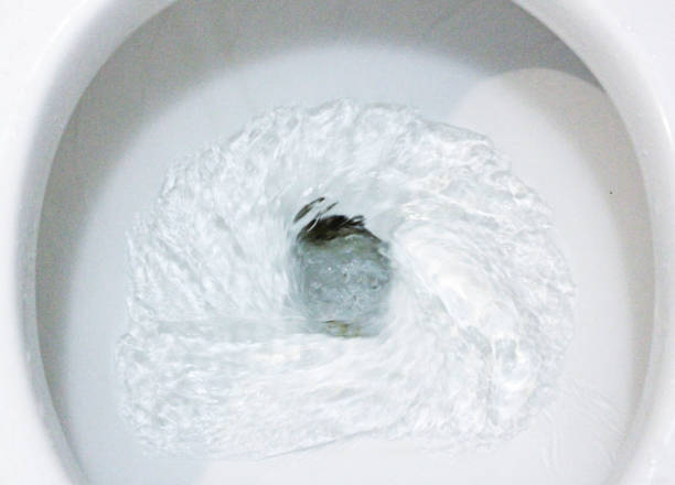Hard To Flush Truth – Bodifresh.com